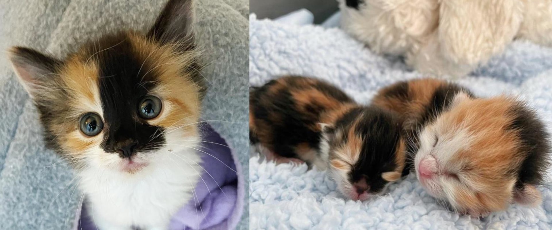 What is a Vampire Facial and How Much Does it Cost?